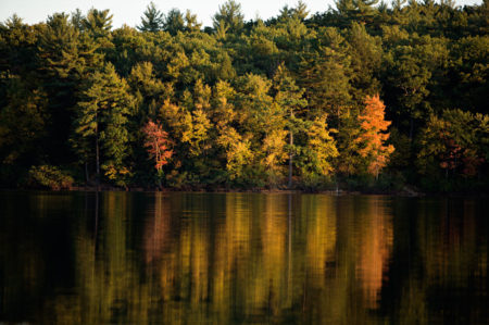 Henry David Thoreau - Concord, MASSACHUSETTS